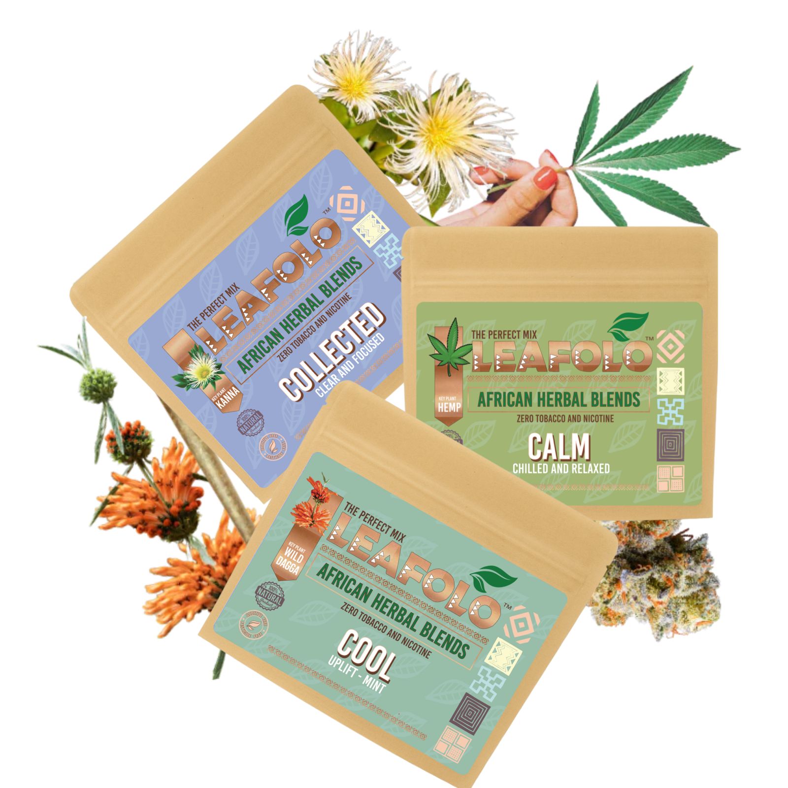 Herbal Blends – Leafolo